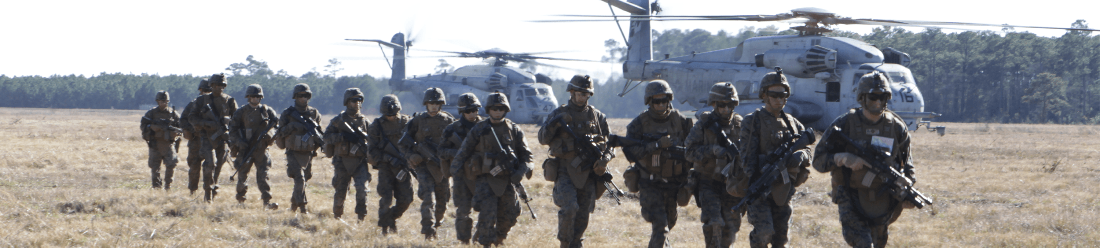 The MAGTF: Air Combat Element and Ground Combat Element - MCA